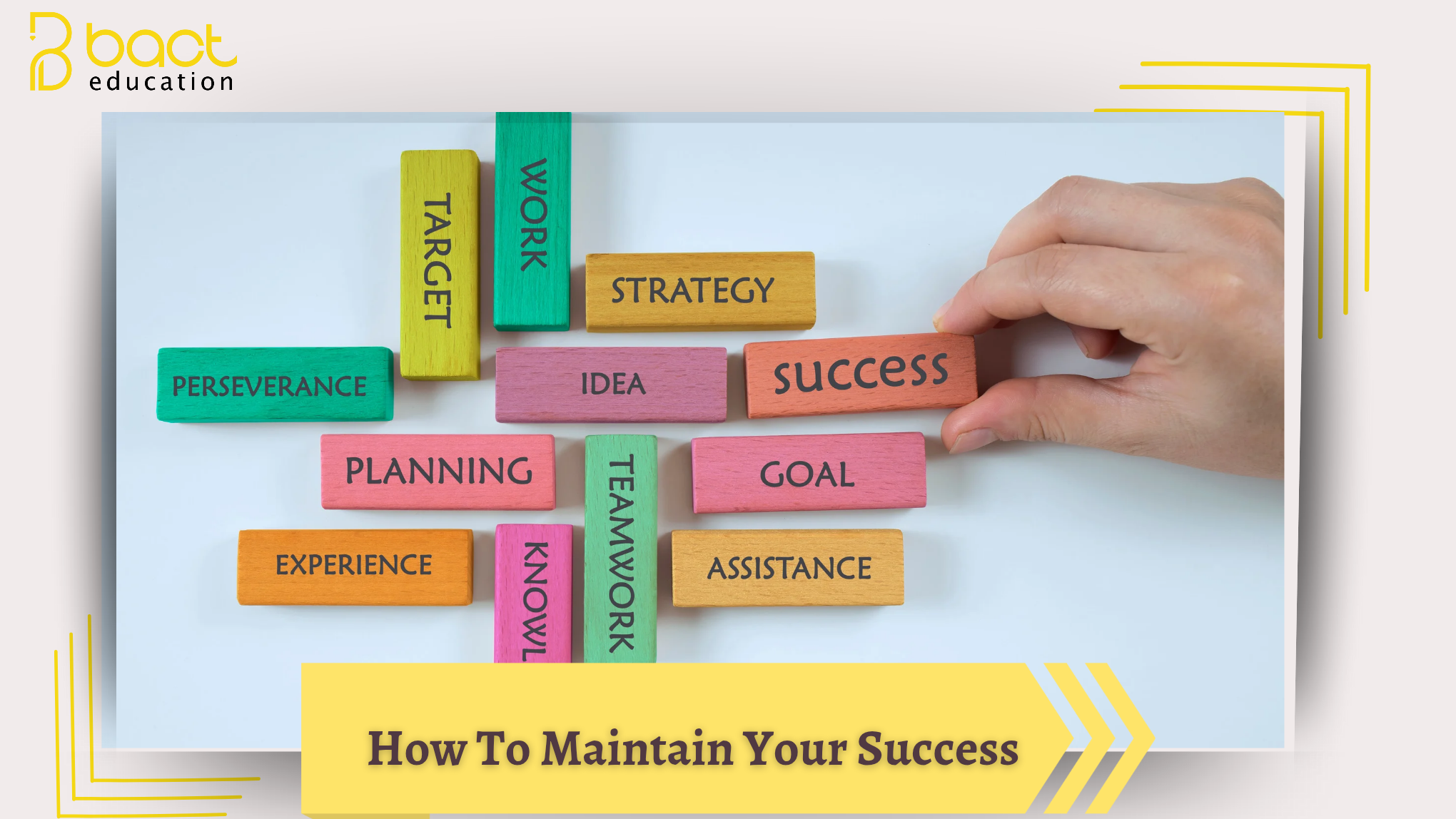 How to Maintain Your Success - Bacttraining
